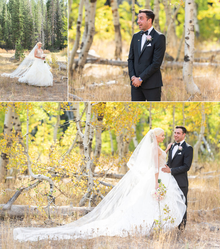 Emily and Eiman | Lake Tahoe Wedding Photographer - Sacramento Wedding ...