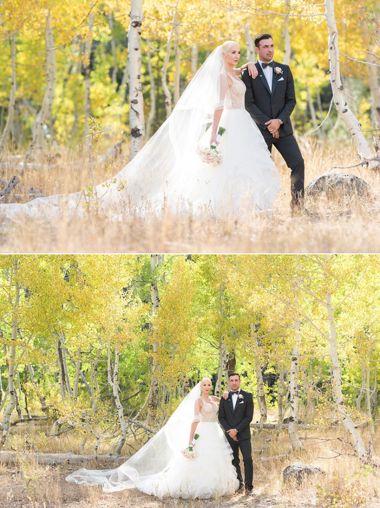 Emily and Eiman | Lake Tahoe Wedding Photographer - Sacramento Wedding ...