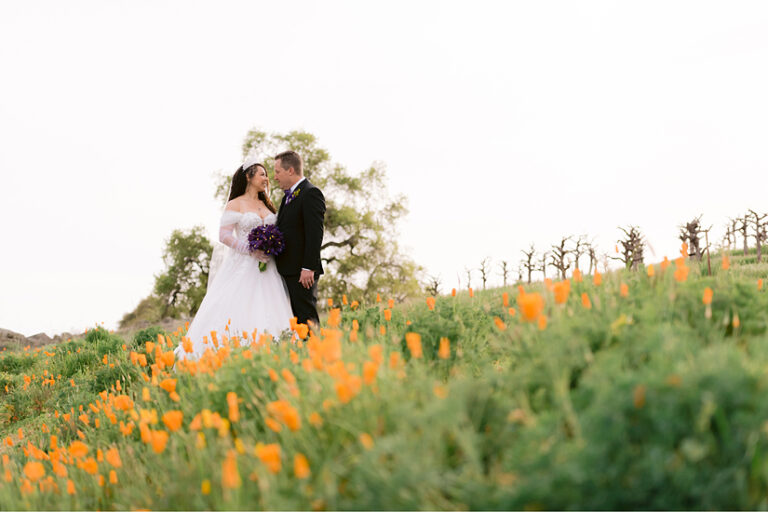 WEDDINGS Archives - Sacramento Wedding and Portrait Photography ...